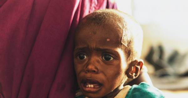 10 ensinamentos de como combater a fome