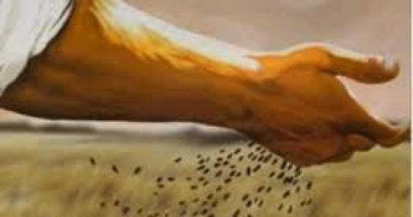 “O semeador saiu a semear”