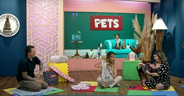 Moda Pet: saiba como vestir seu pet com peças da moda primavera