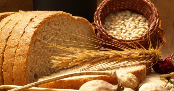 O significado do trigo na vida dos cristãos