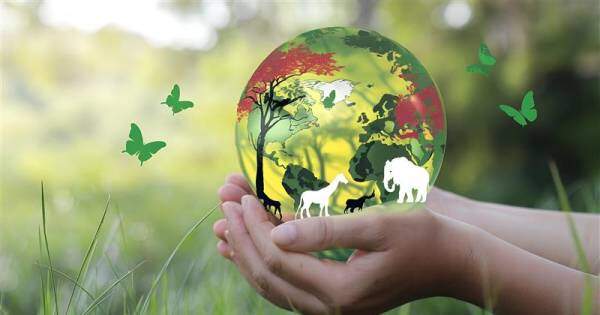 Fé e meio ambiente: somos parte da natureza Fé e meio ambiente: somos parte da natureza