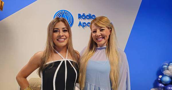 Você sabe como diferenciar insistência e persistência?